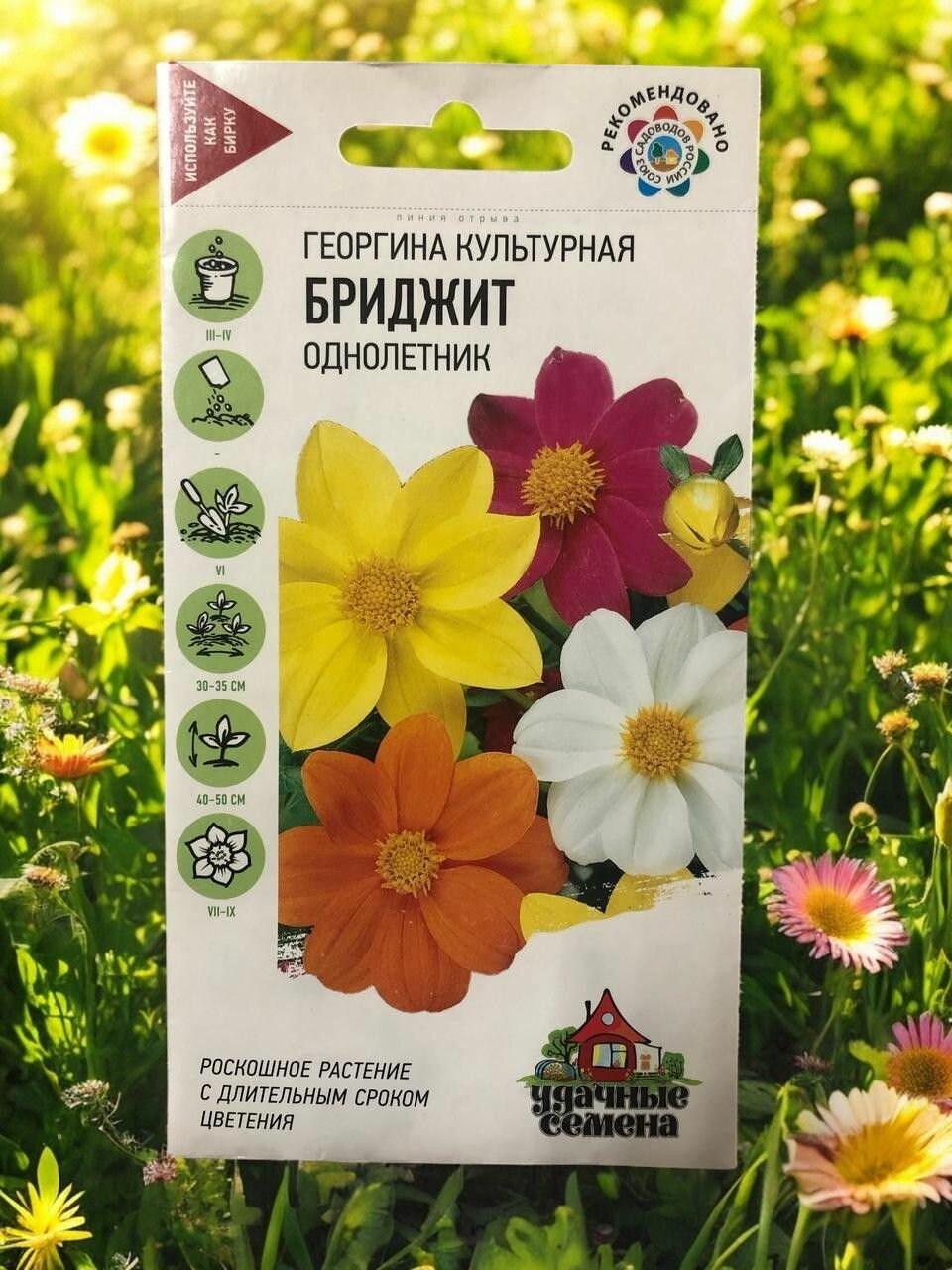 Георгина Бриджит смесь цв. п 0,3г Гавриш