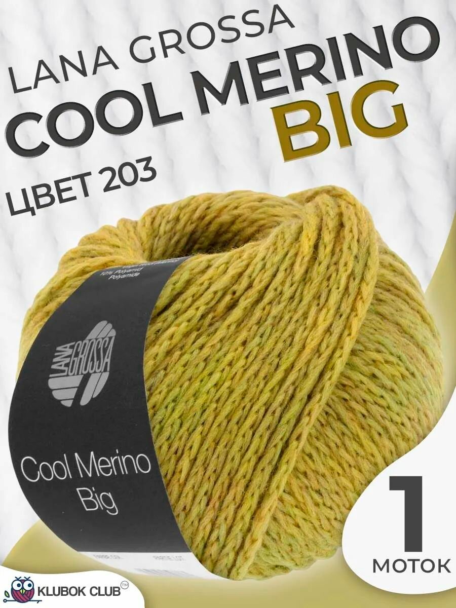 Пряжа для вязания Lana Grossa Cool Merino Big шнурок, цвет 203, 1 моток