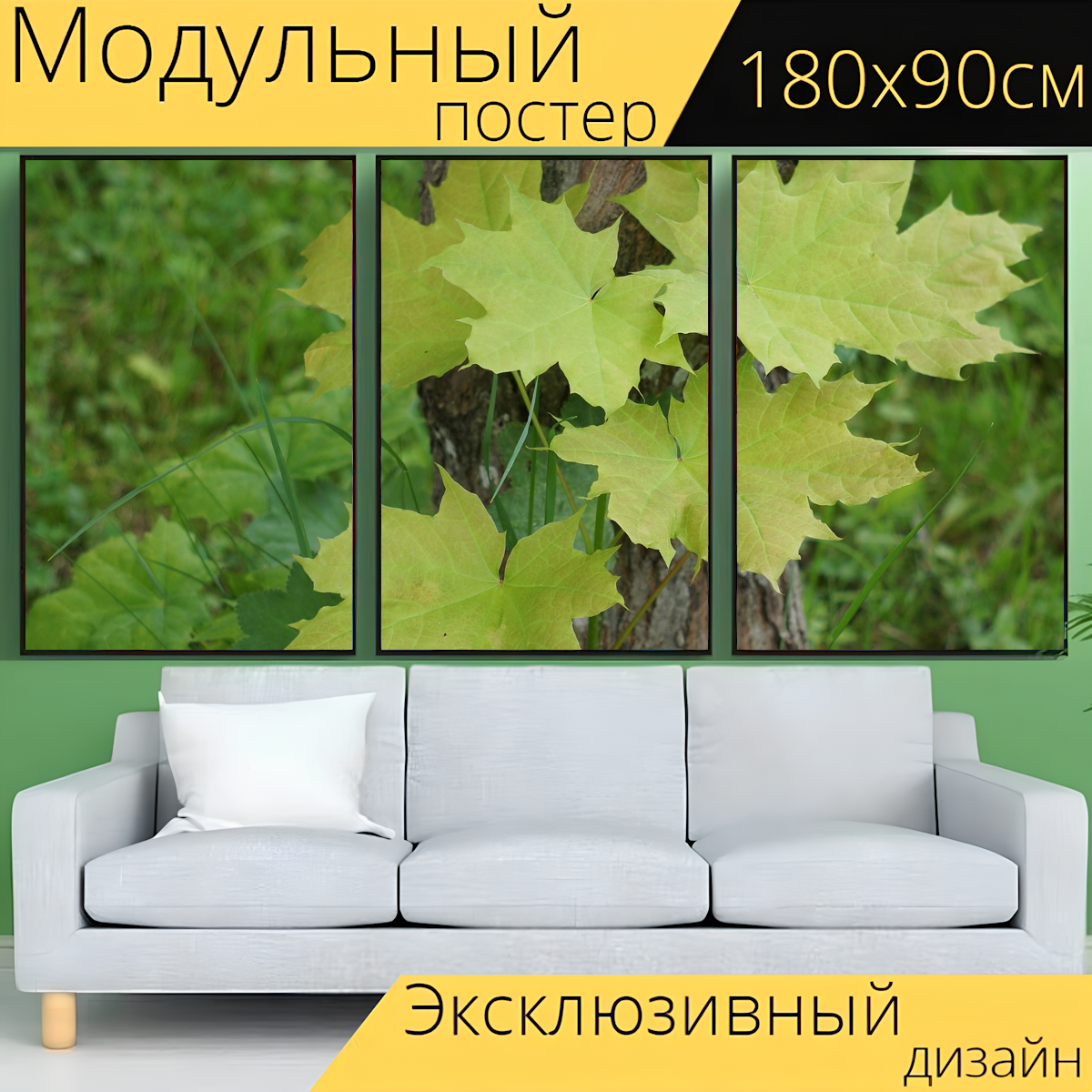 Модульный постер "Клен, древесина, лист" 180 x 90 см. для интерьера на стену в тубусе