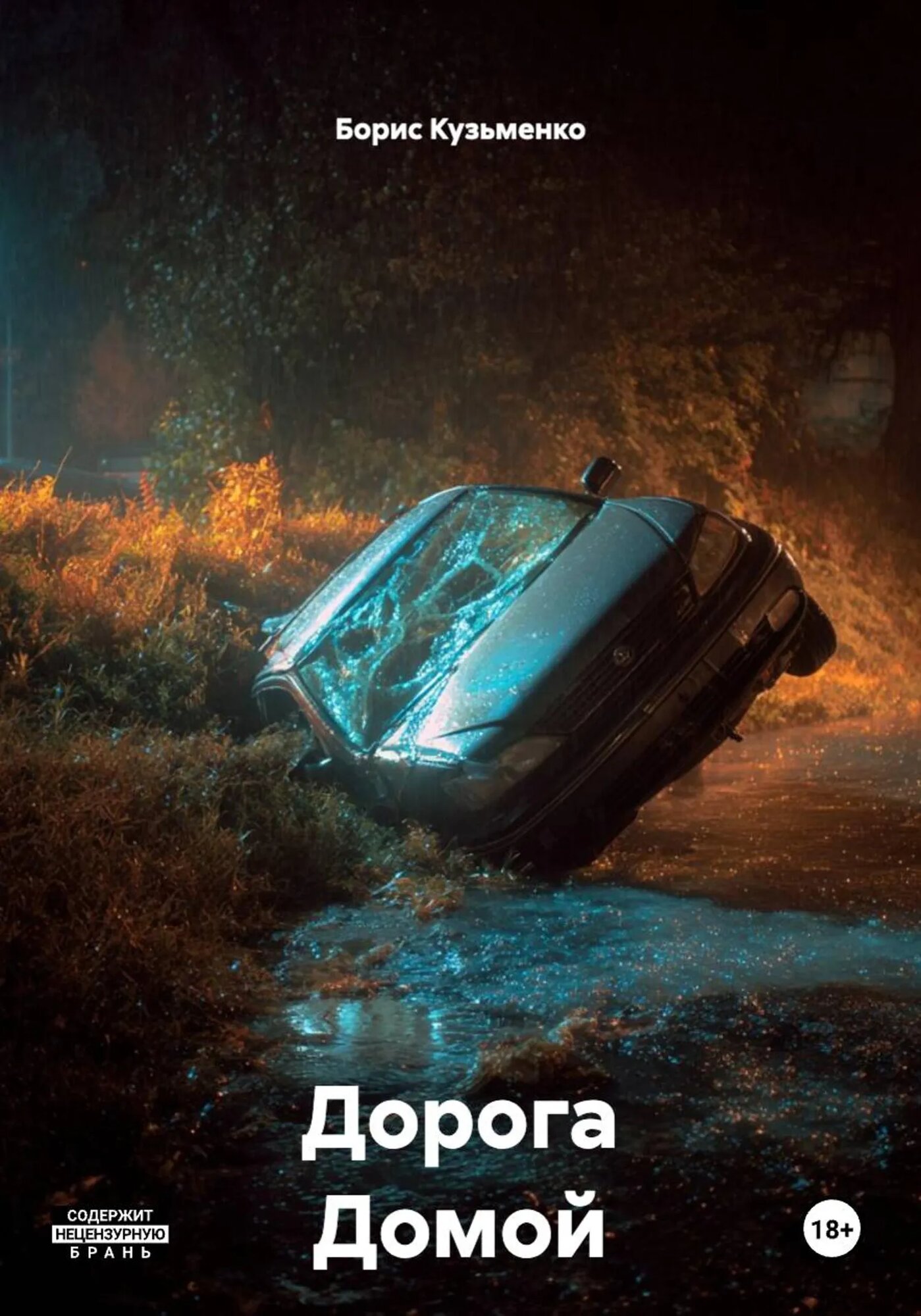 Дорога Домой [Цифровая книга]