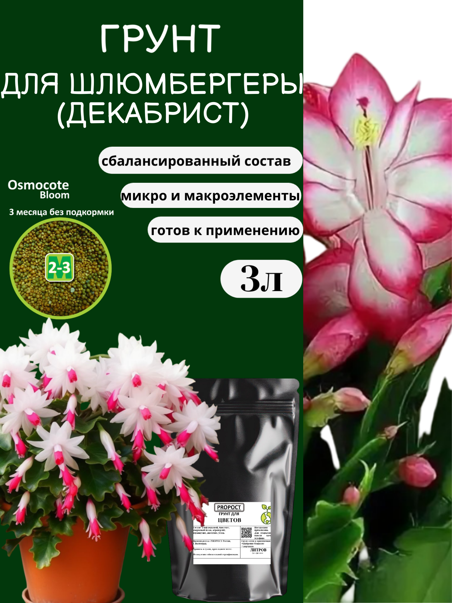 Грунт для декабриста 3 л для отличного роста и развития растения
