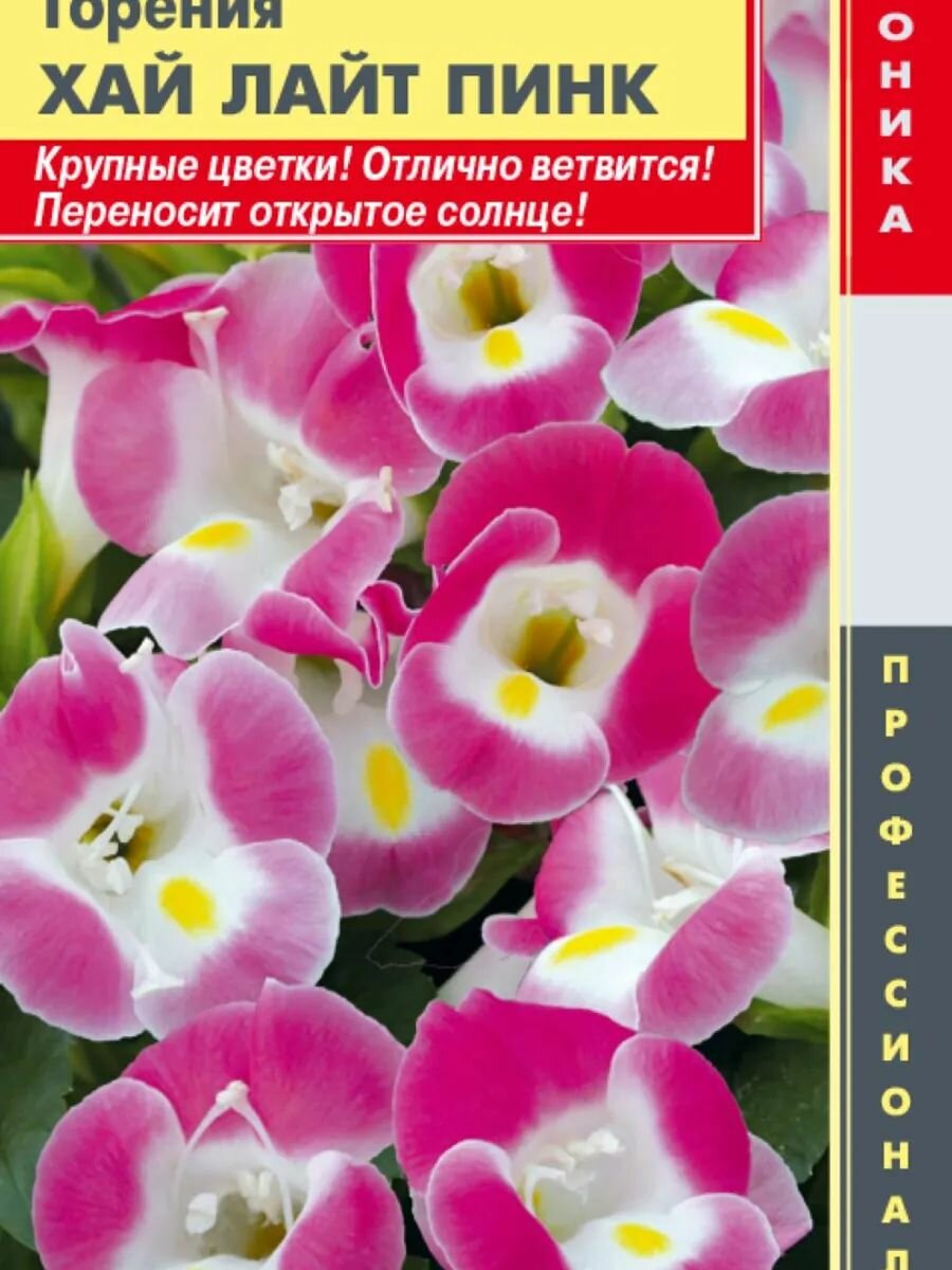 Торения Пинк (серия Hi Lite) 4 шт, Плазменные семена