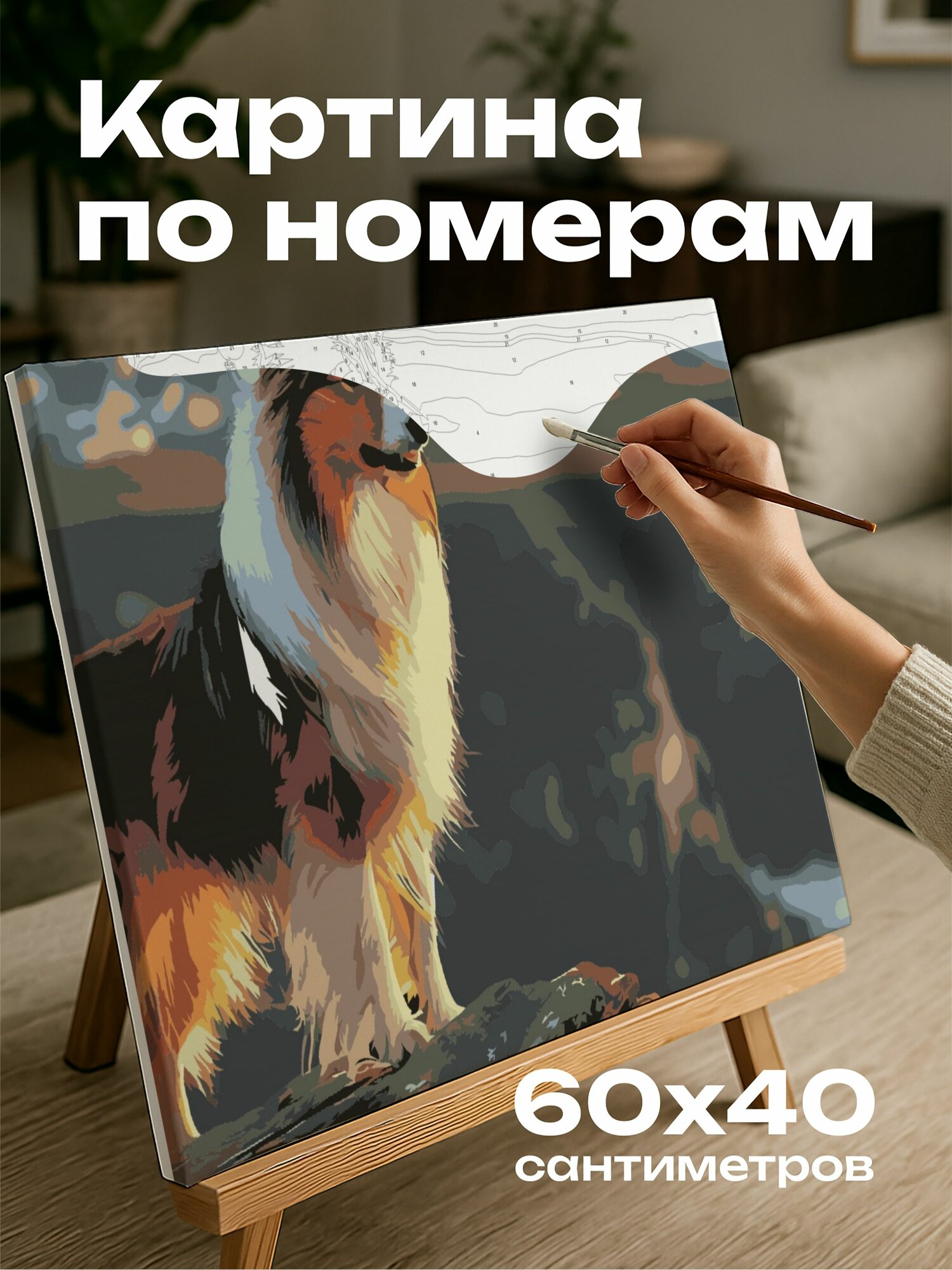 Картина по номерам 60x40 см, Колли, утес, прибрежный пейзаж, ветер, шерсть, защитник, Canon EF 70-200mm f, 2.8L, f, 4