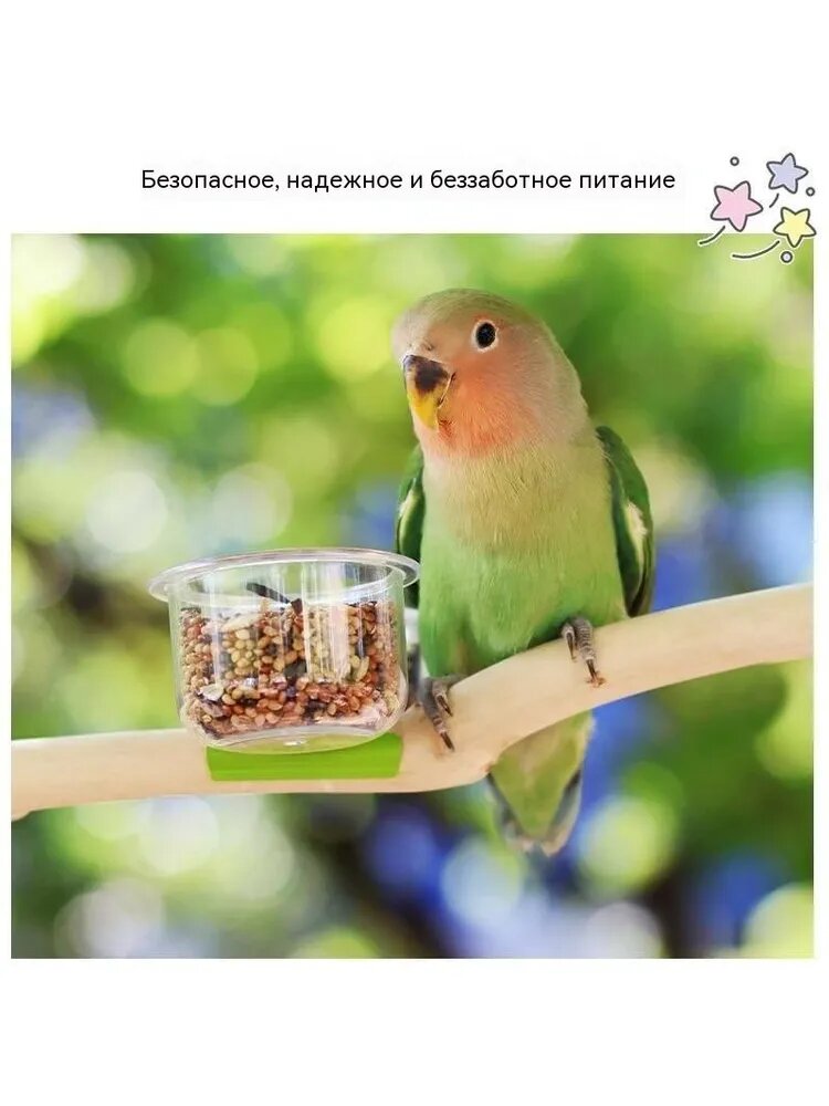 Миска для попугая — фото 1