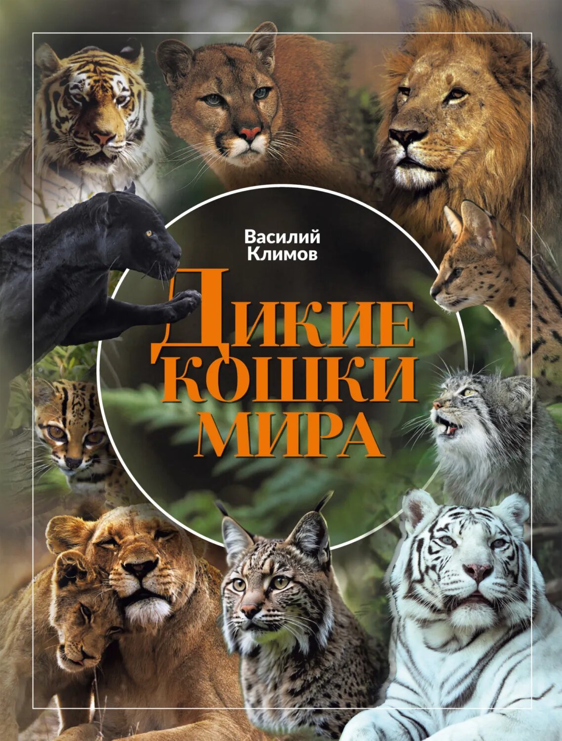 Дикие кошки мира [Цифровая книга]