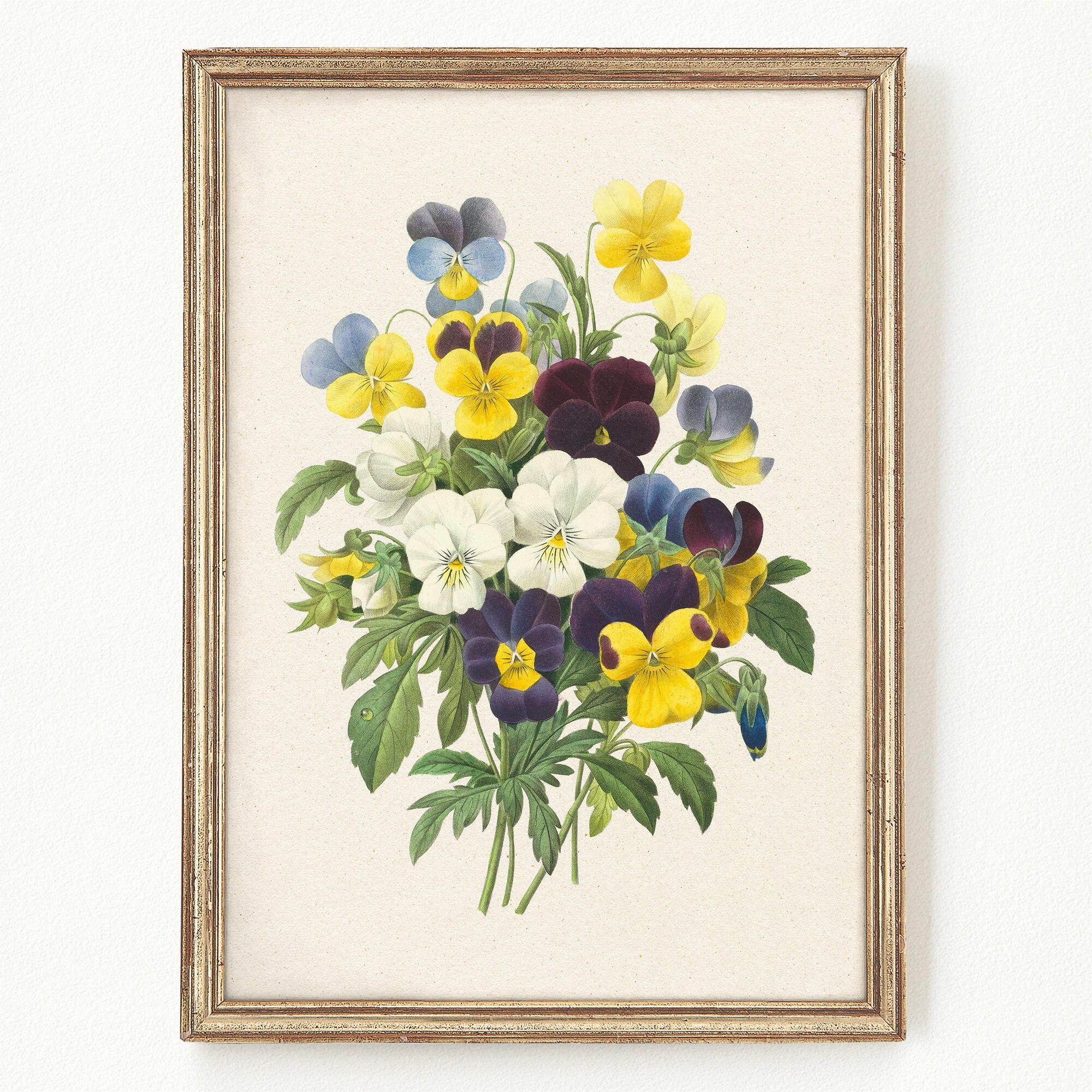 Постер ботанический "Букет анютиных глазок - Пьер-Жозеф Редуте", 21х30 см (без рамки)