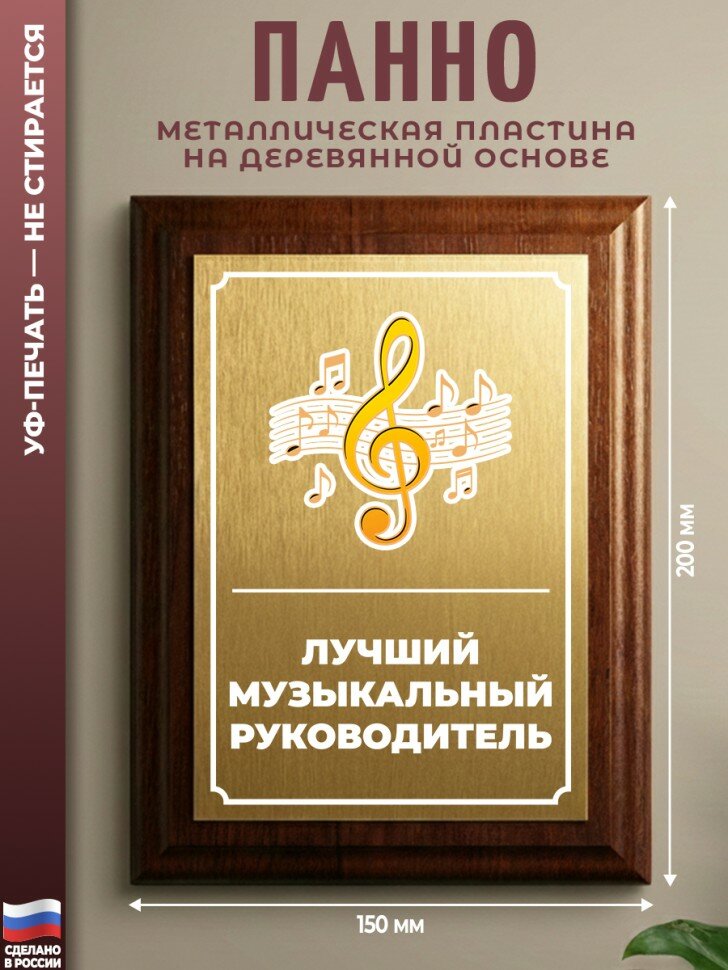 Настенный диплом "Лучший музыкальный руководитель"