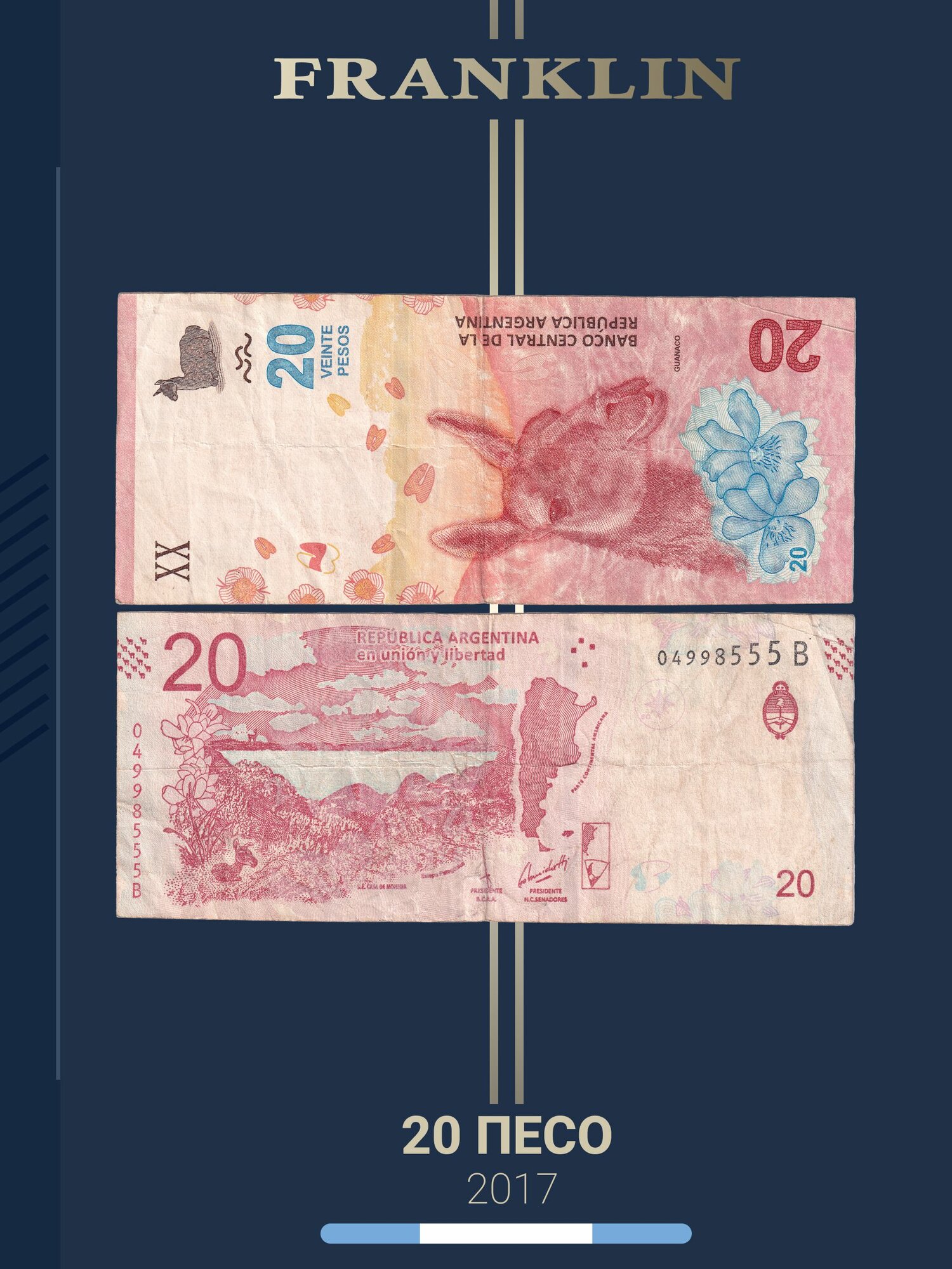 Банкнота Аргентина 20 песо 2017 год (F) Pick 361
