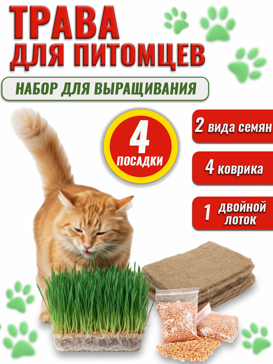Набор для выращивания травки "Просто", для кошек и мелких собак, 1 лоток, 4 посадки