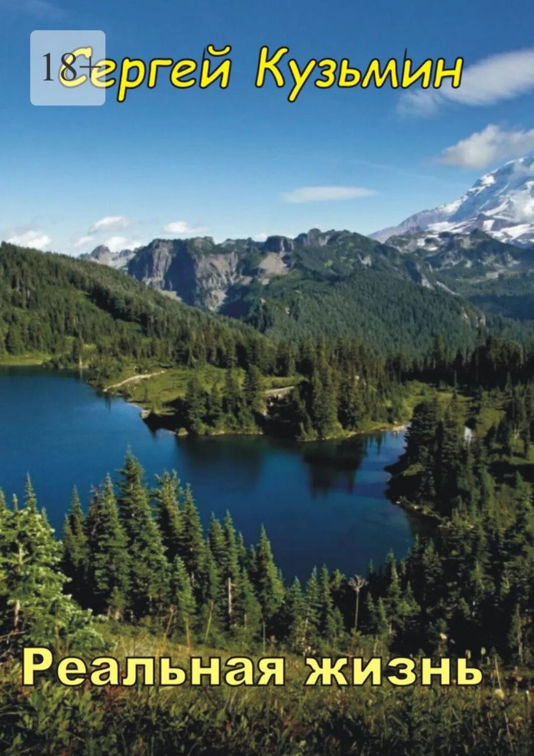 Реальная жизнь [Цифровая книга]