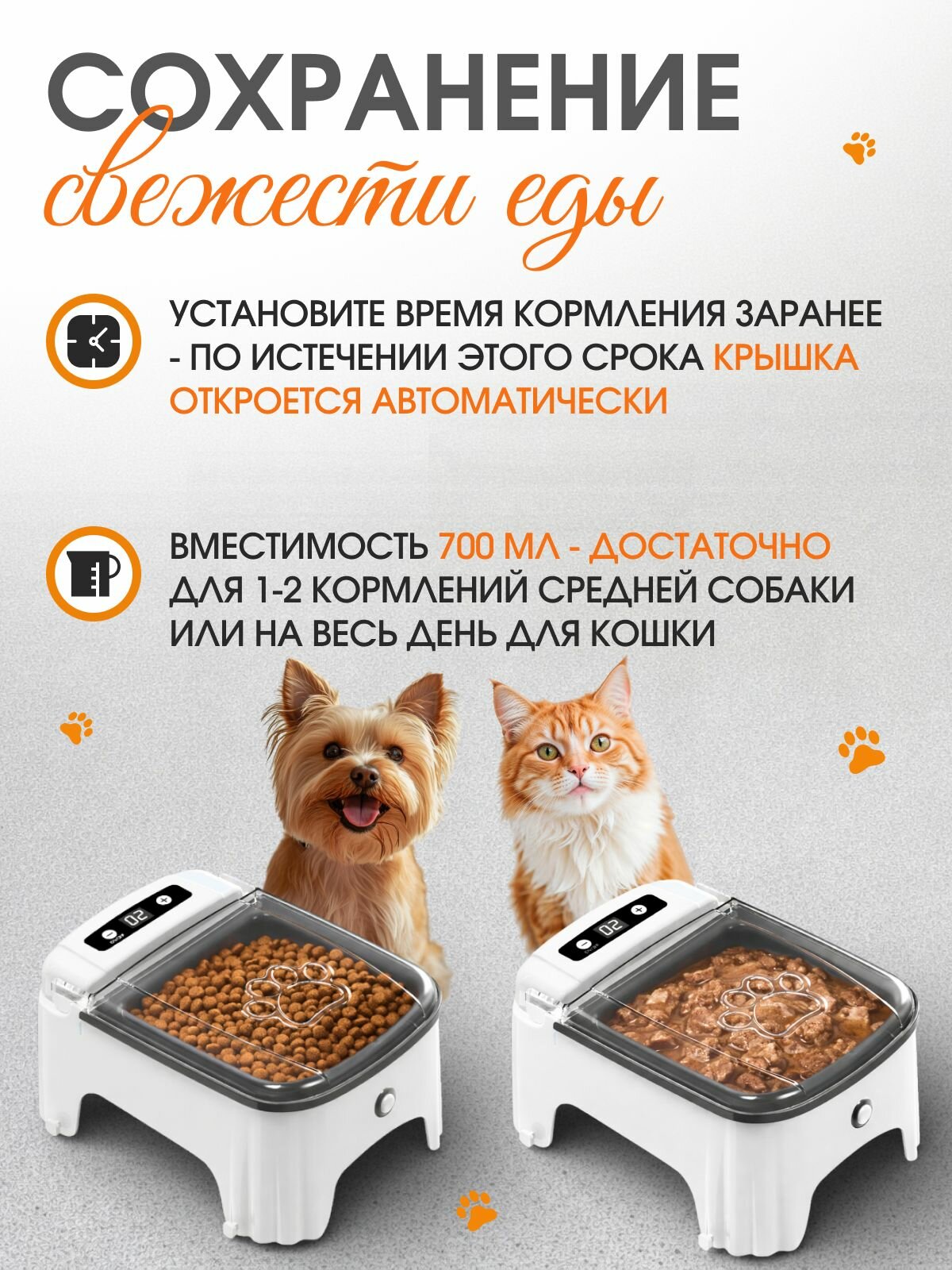 Автоматическая кормушка — фото 1