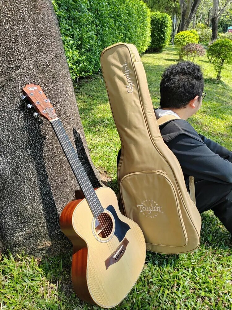 Taylor Акустическая гитара Полуакустическая гитара 6-струнная, корпус Ель 36"