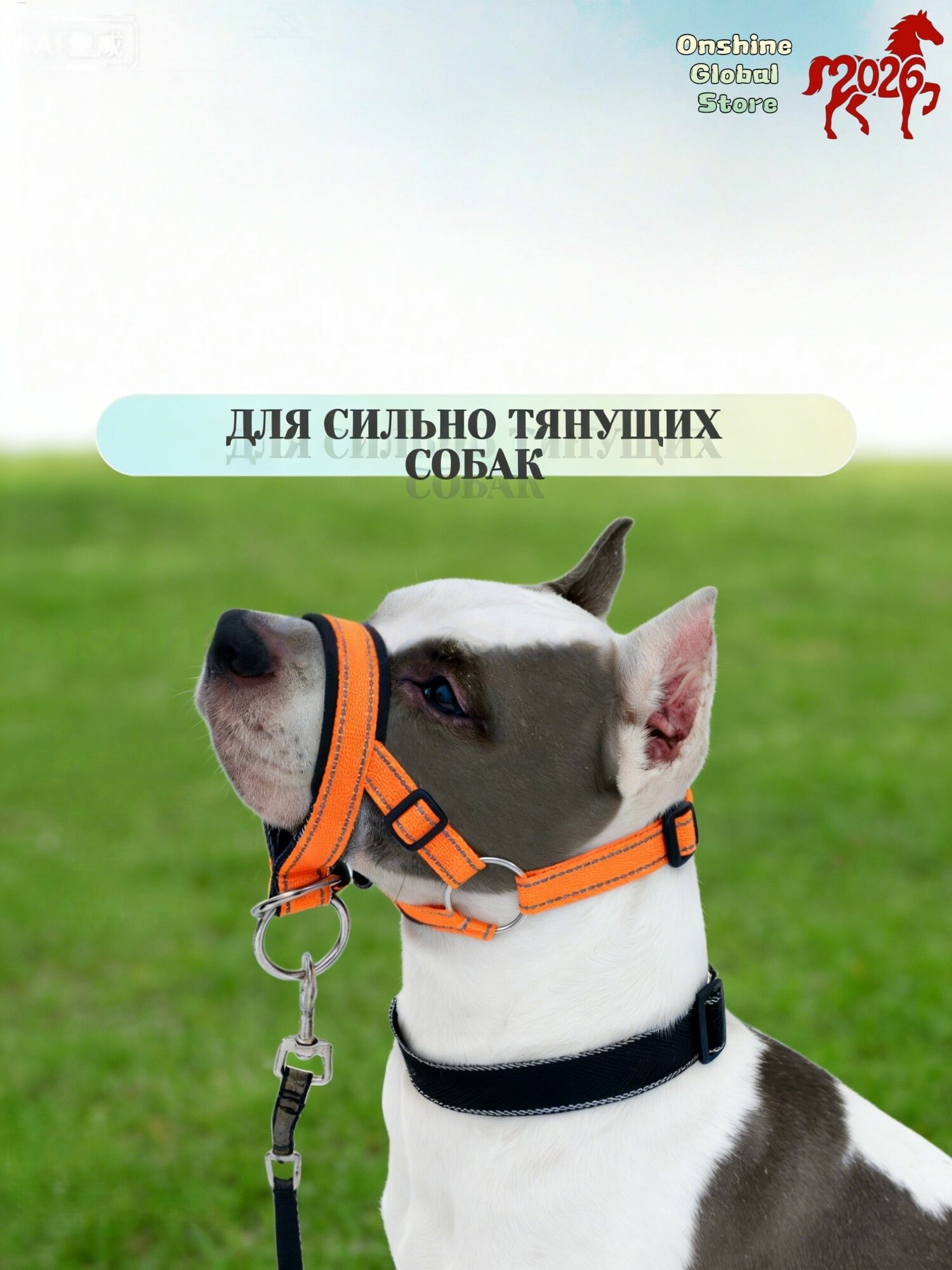 Недоуздок для собак намордник халти для средних и крупных пород