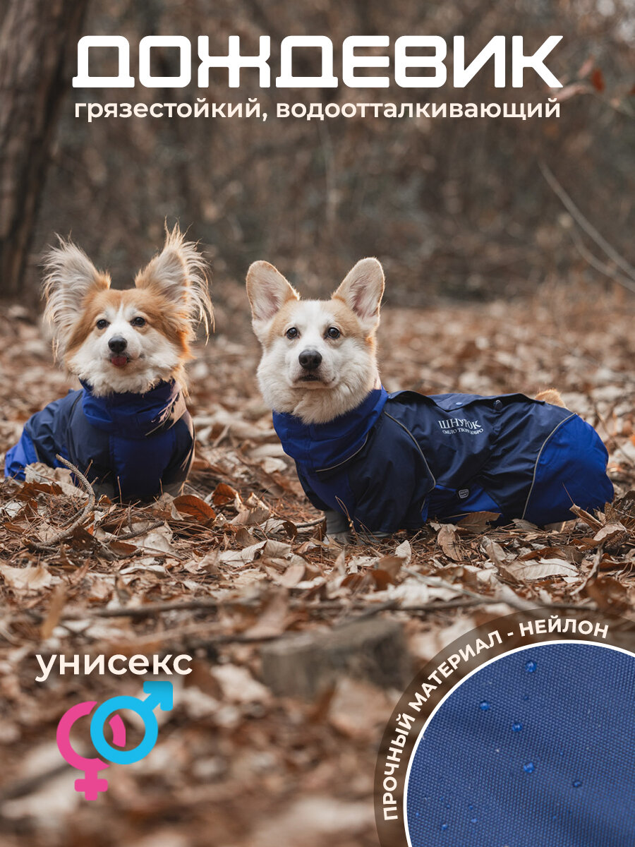 Дождевик для корги