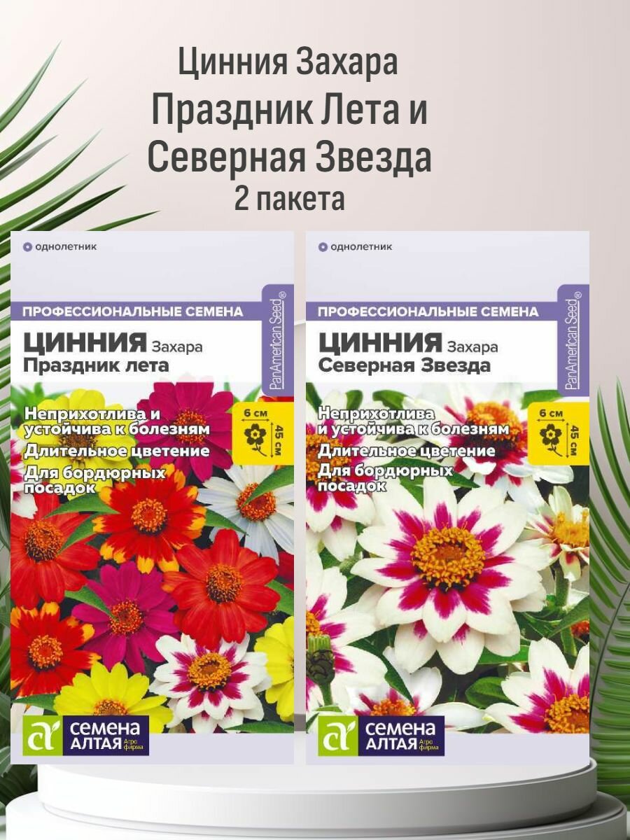 Цинния Захара Праздник Лета и Северная Звезда 2 пакета