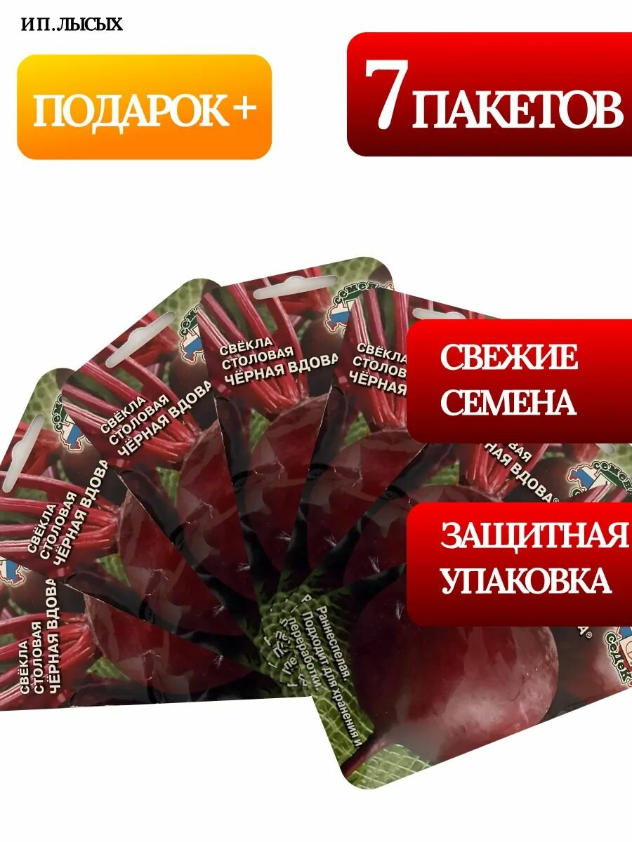 Свекла "Черная Вдова"