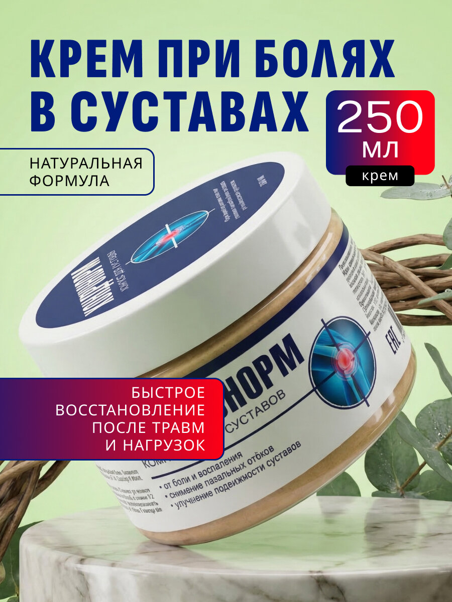 Хондронорм, средство для суставов и мышц: снимает боль, отёки и скованность, банка 250 мл