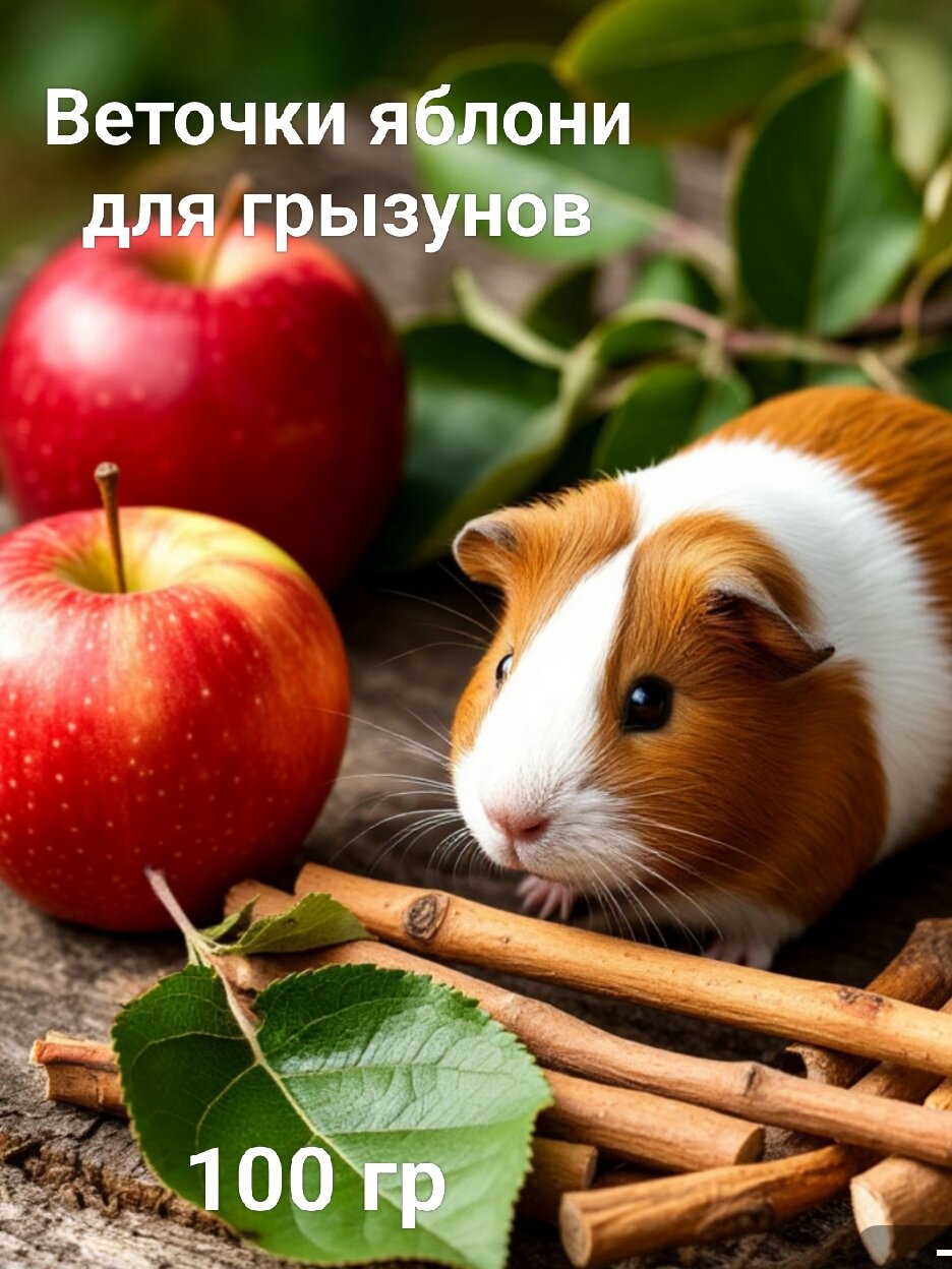 Веточки "Яблоня" для грызунов. Лакомство для грызунов.100г.