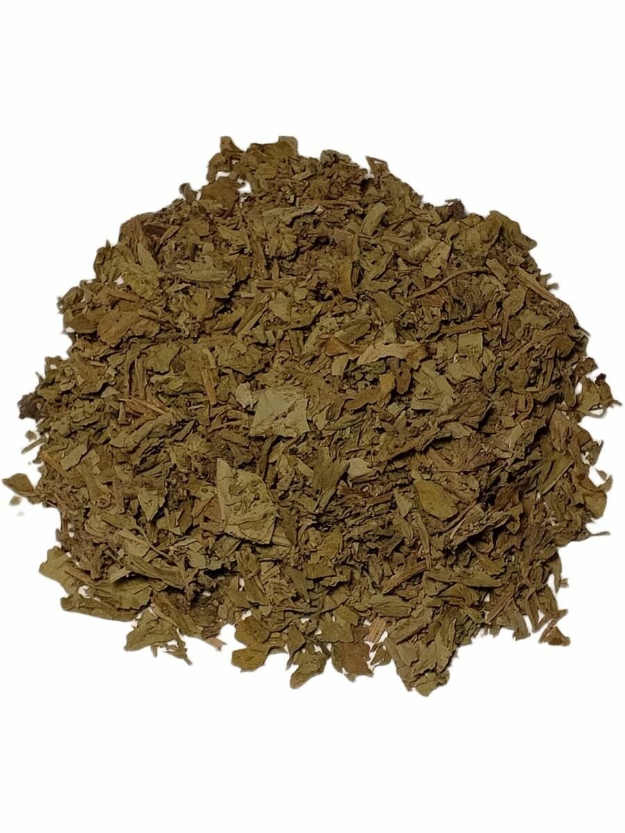 Медуница (трава)