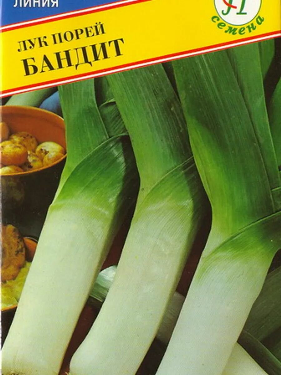 Лук Порей Бандит 100 шт, Семена Престиж