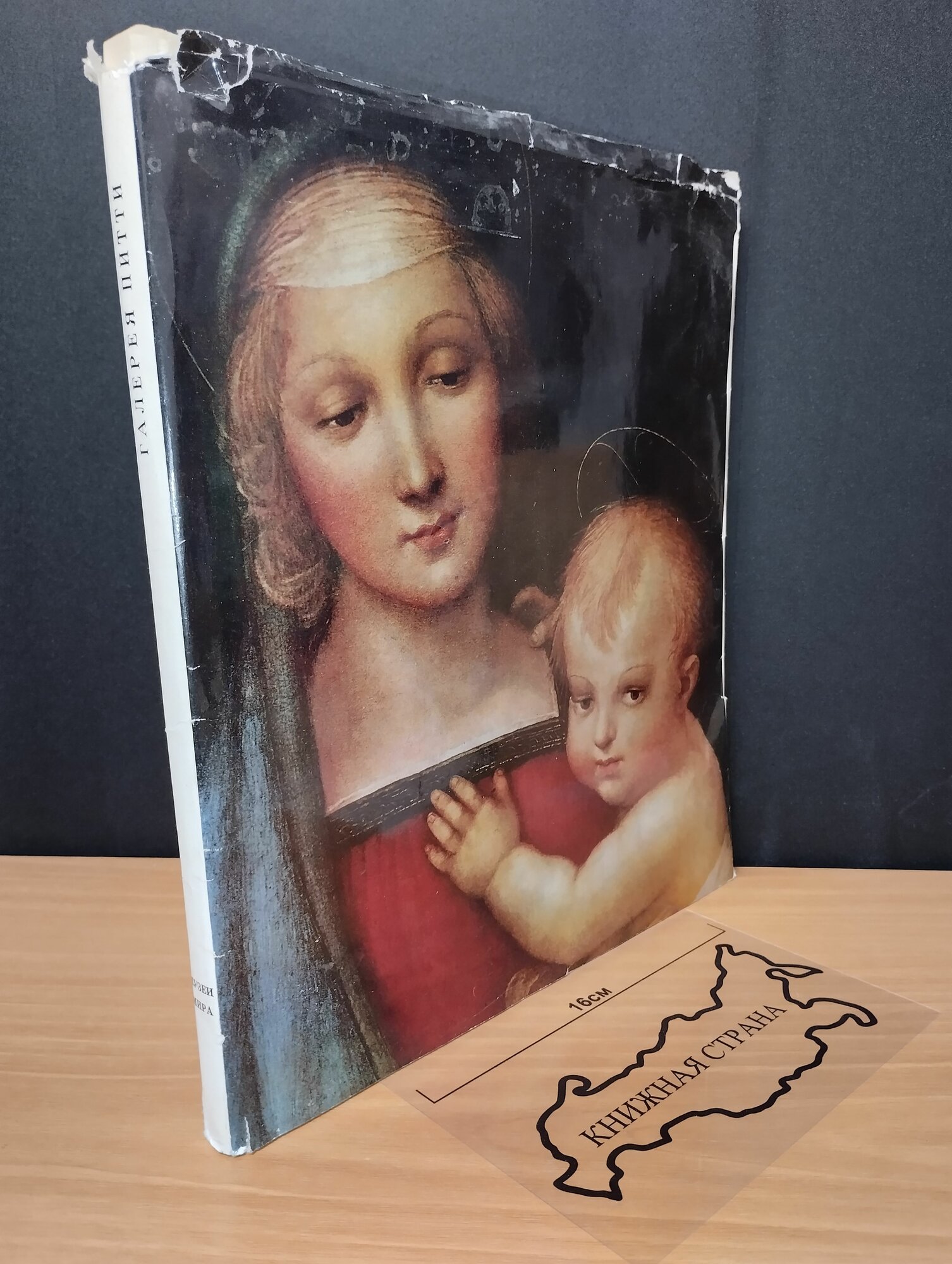 Галерея Питти. Флоренция