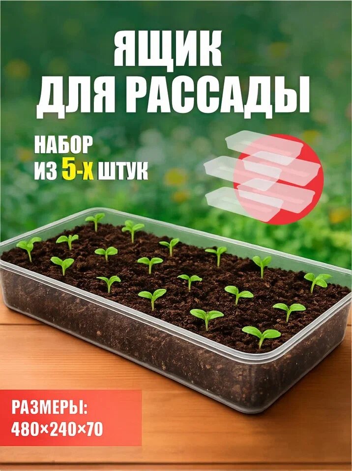 Комплект из 5-ти ящиков для рассады для подоконника пластиковый 480*240*70