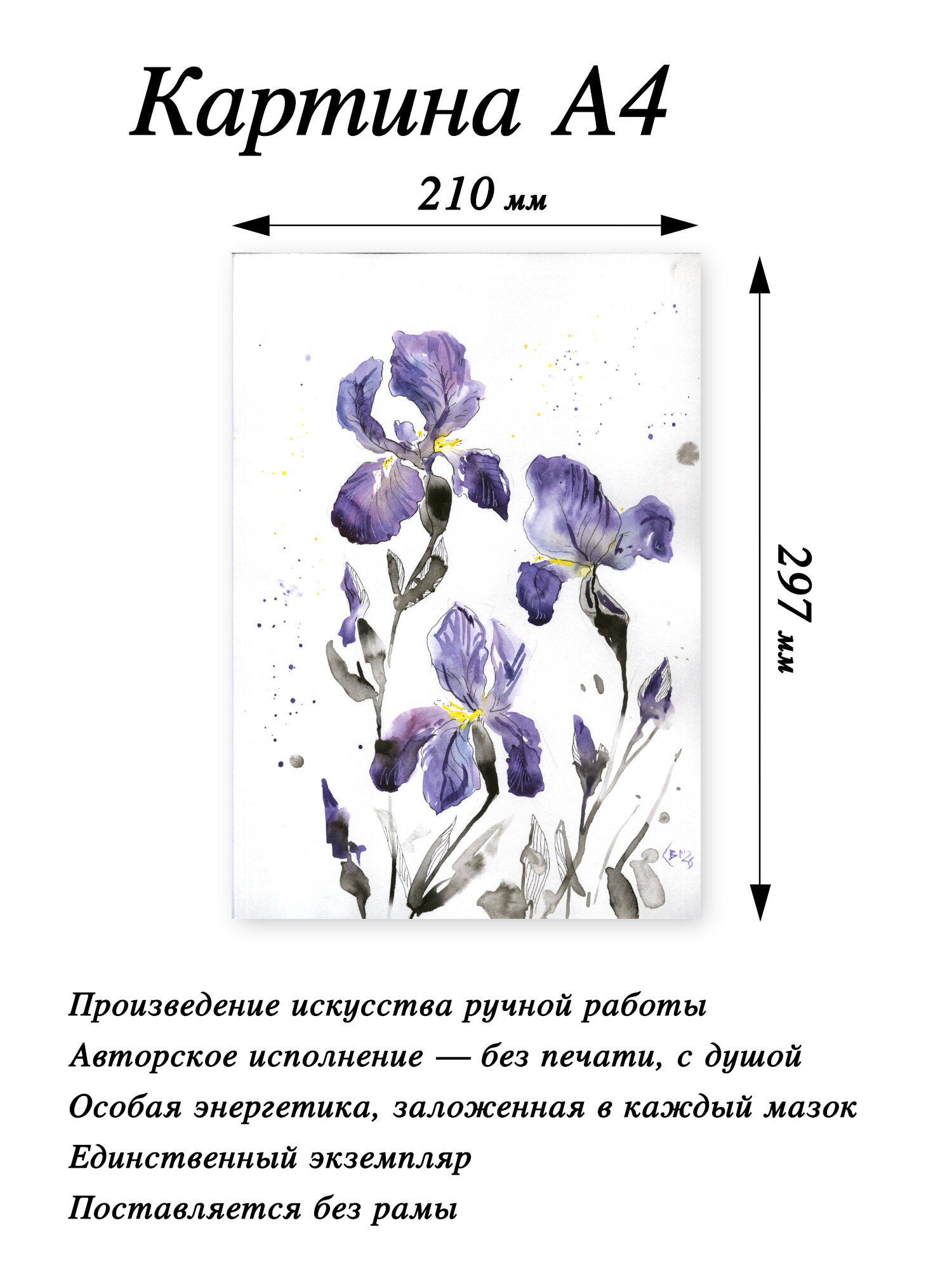 Картина акварельная "Три ириса", ручная работа, акварель, гохуа, 21х30 см