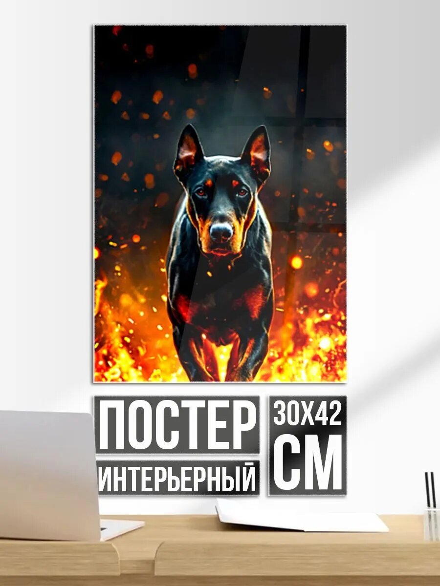 Постер на стену Доберман в огне