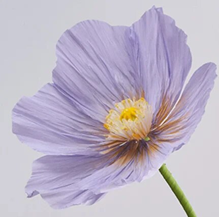 Фиолетовый искусственный цветок, 1 PCS Flower Head D