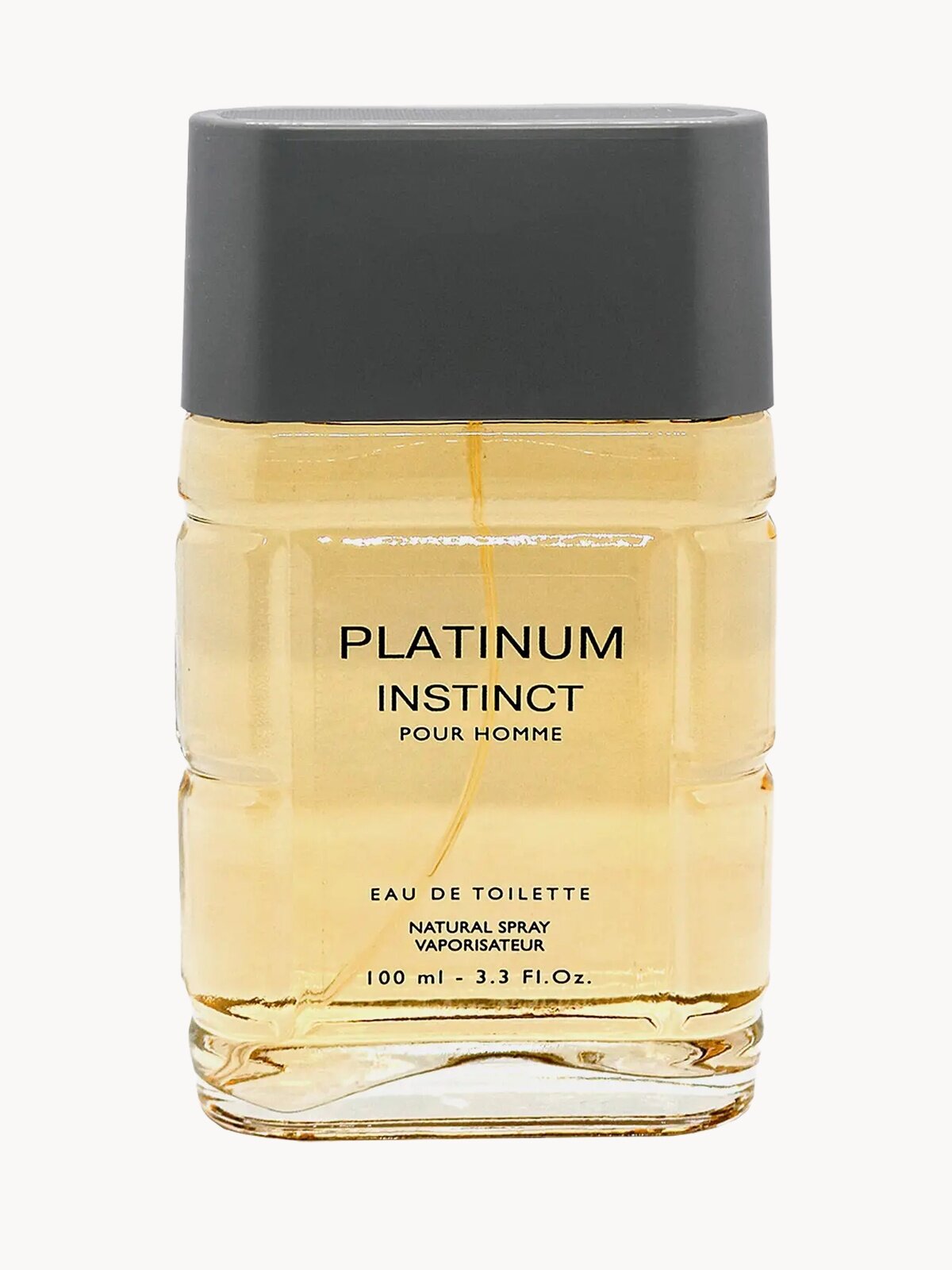 Туалетная вода мужская Instinct Platinum, 100 мл, фужерный аромат