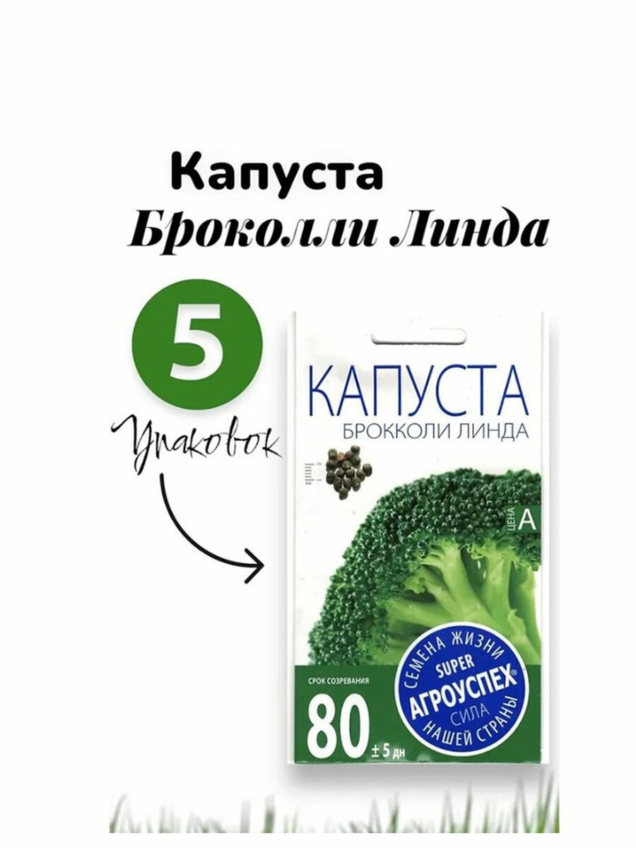 Семена агроуспех