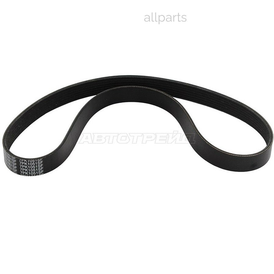 SAT ST-540-0038 Ремень приводной Renault Duster 10- / Logan 09-22