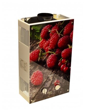 Газовая колонка Wertrus 10EG BERRY