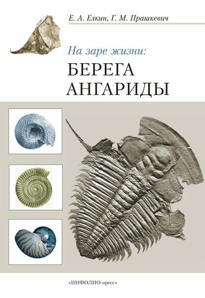 На заре жизни: берега Ангариды [Цифровая книга]