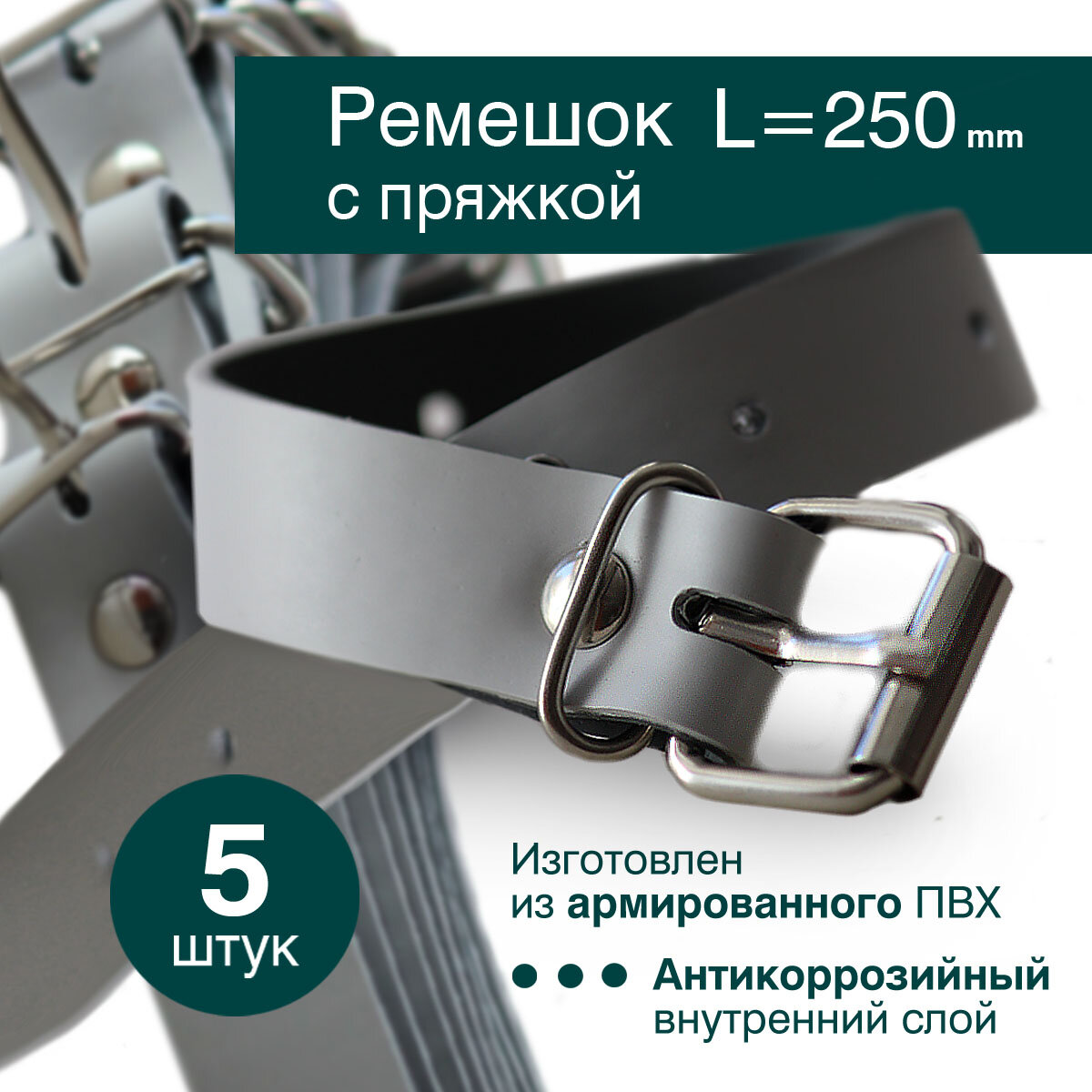 Ремешок с пряжкой 250