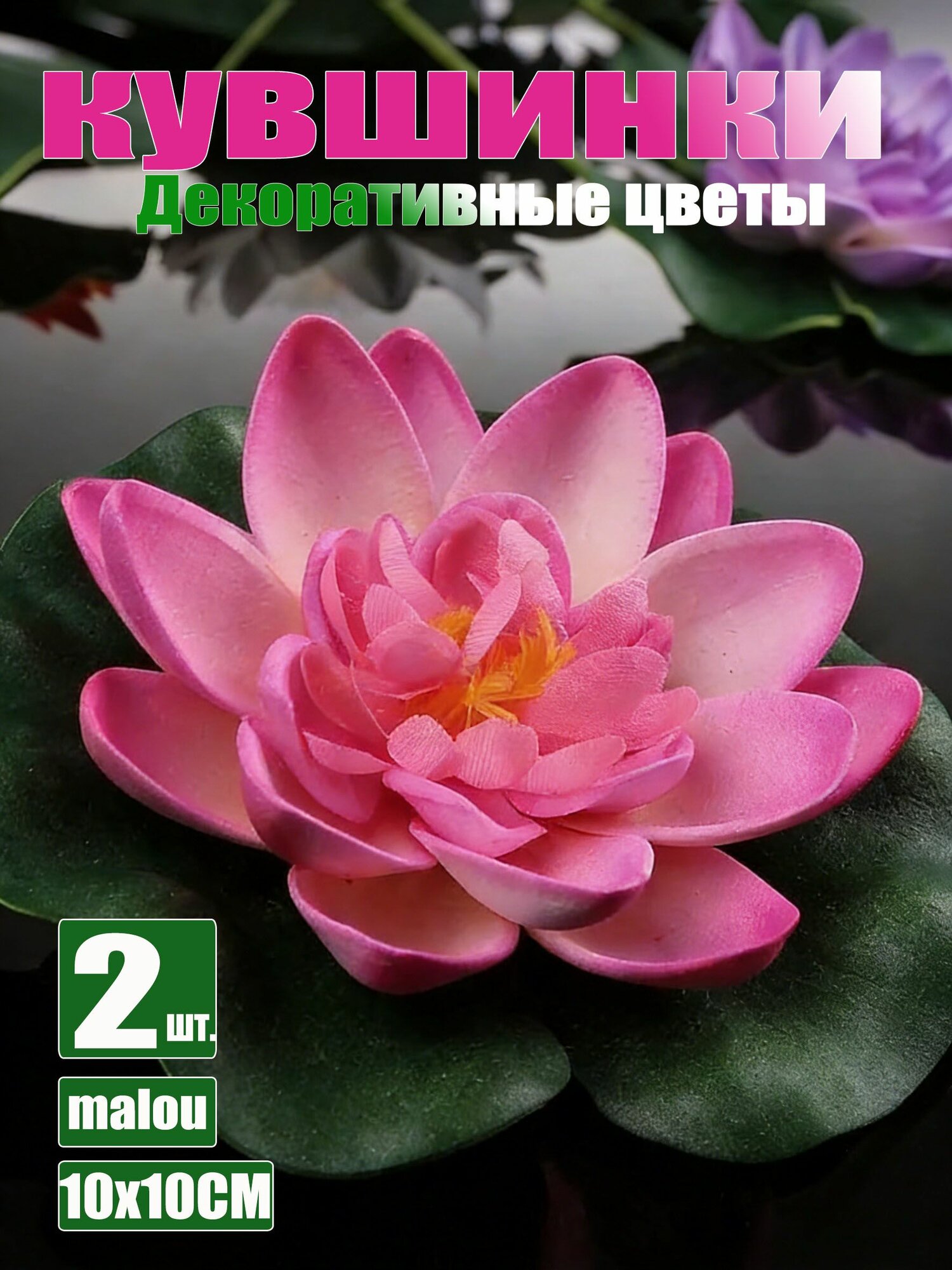 Декоративные цветы для водоема, Водяные лилии 10x10cm