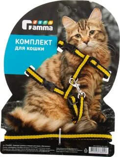 Комплект шлейка и поводок для кошек из капрона, 400*300*85мм; 10*1500мм (блистер) Gamma