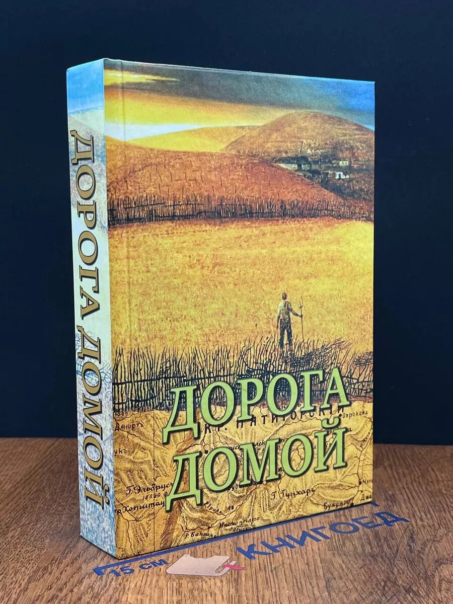 Книга. Дорога домой 2011 (2040770892434)