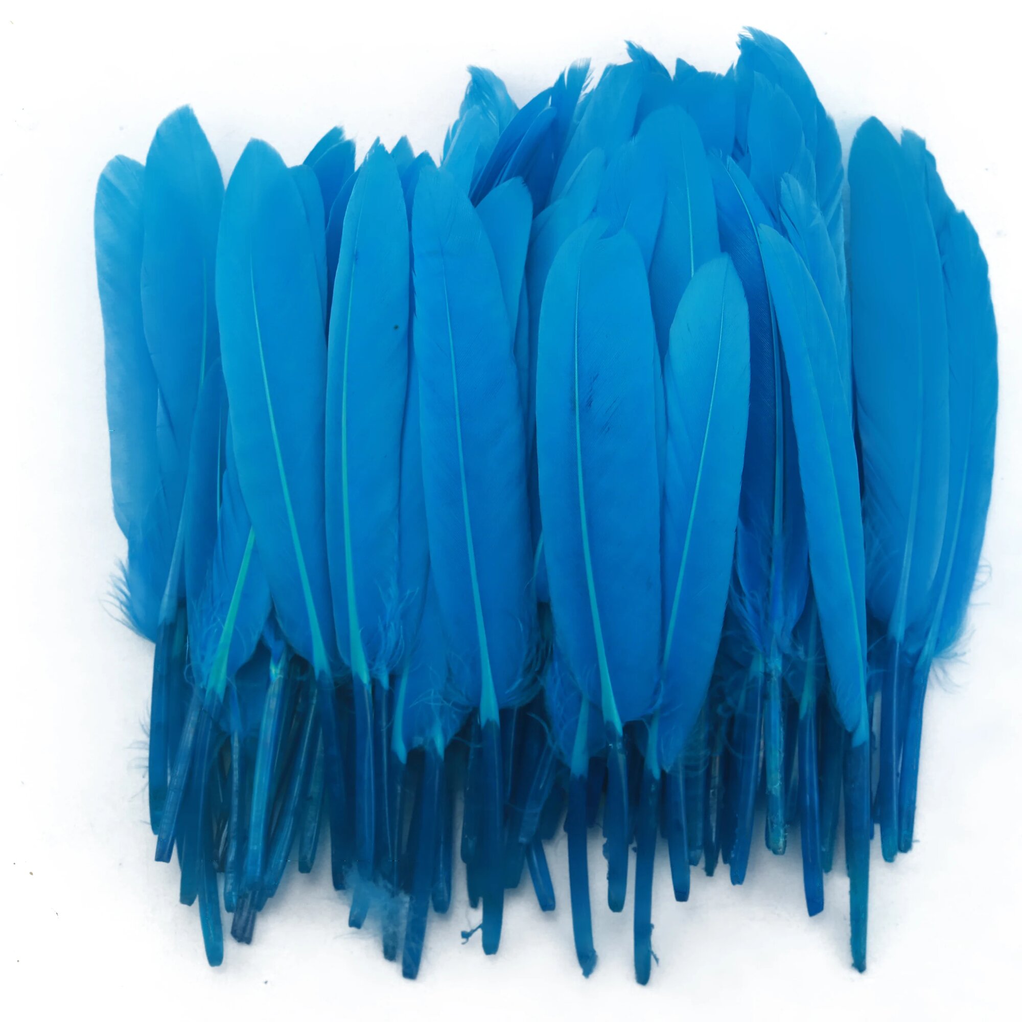 Карнавальные перья INSOMNIA STAR, гусиное перо, 100 шт. lake blue