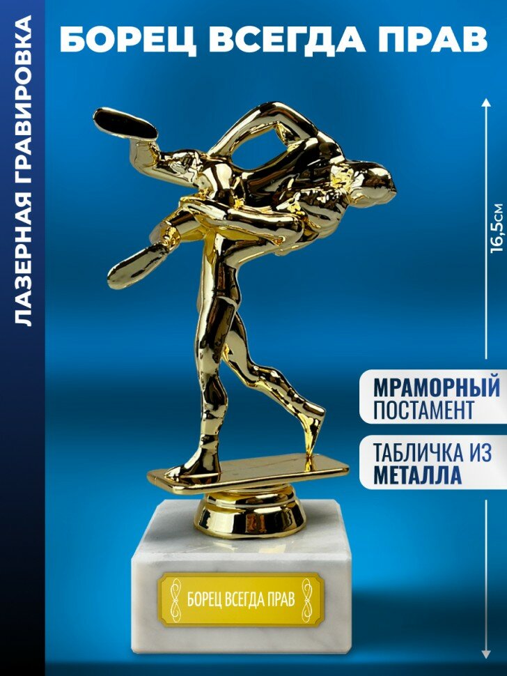 Статуэтка Борьба "Борец всегда прав" (16,5 см)
