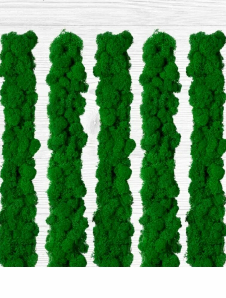 Лента из мха 5 '50 см на клеевой основе 3 шт.