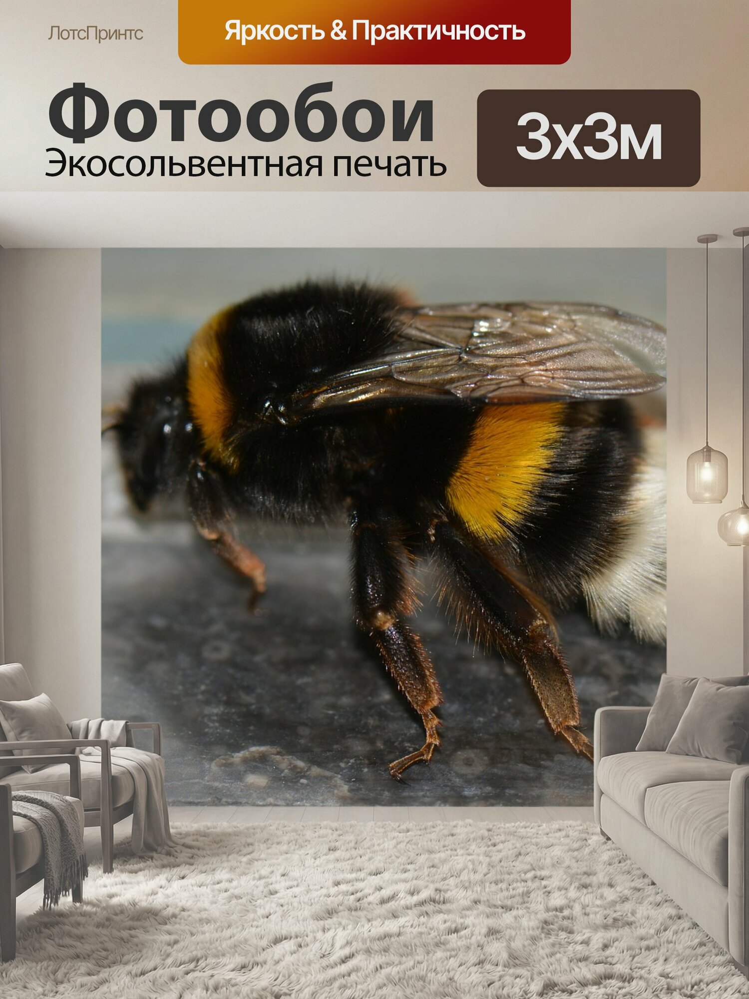 Фотообои "Шмель, ошибка, животное" 300x300 см. экосольвентная печать