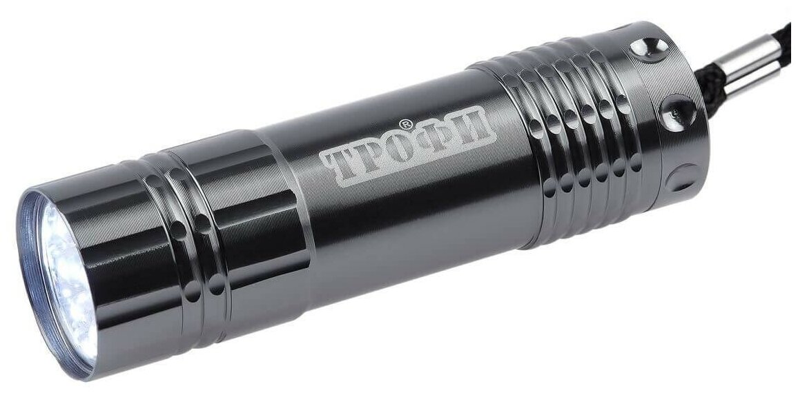 Фонарь ручной TM9 9LED алюм. элементы питания 3хAAA (не в компл.) (картон. упак.) Трофи Б0002225