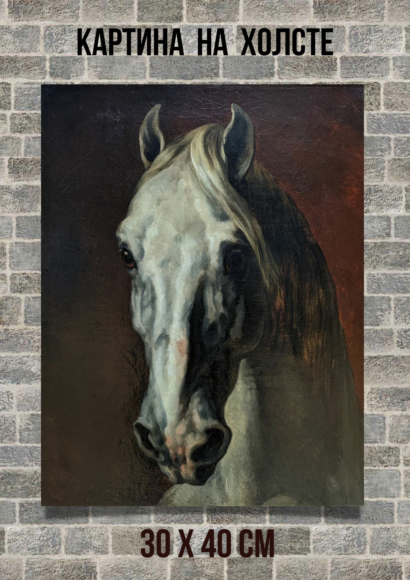 Картина на холсте "Теодор Жерико - Голова белой лошади"