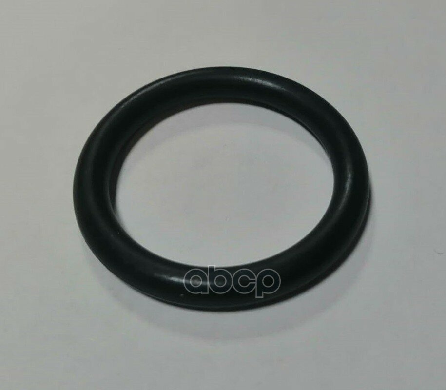 Кольцо уплотнит. теплообменника малое Fiat Ducato 2.3JTD 244/250, Iveco Daily 2.3 Auto-GUR арт. RR300