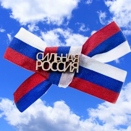 Значок Сильная Россия дерево (триколор)