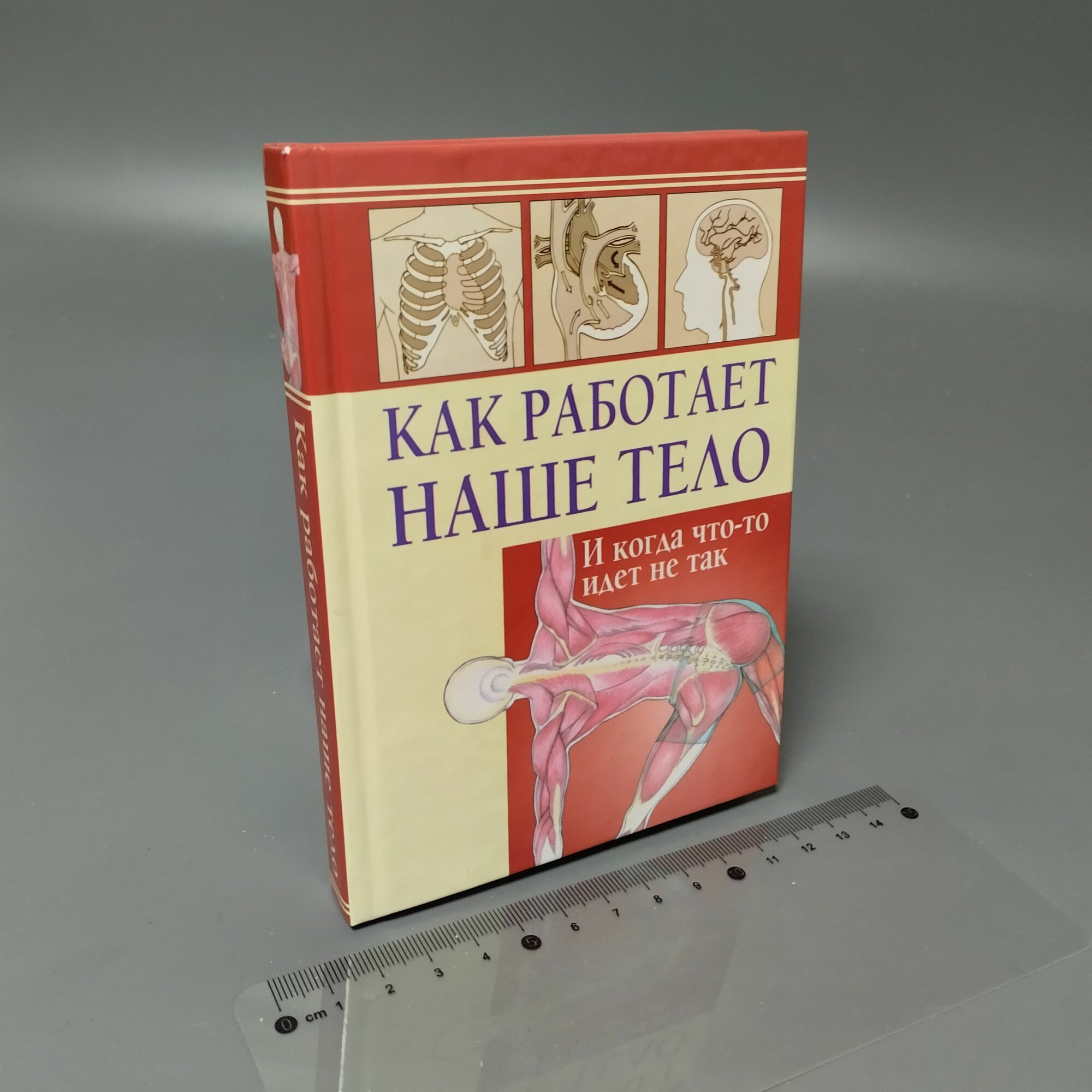Как работает наше тело. И когда что-то идет не так