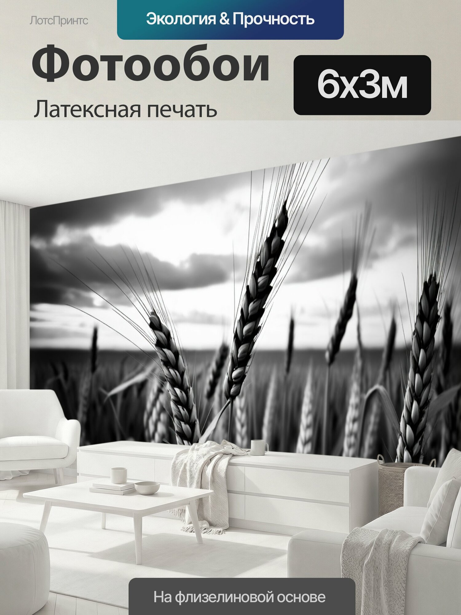 Фотообои моющиеся ударопрочные "Чёрно-белое изображение пшеничного поля под мрачным облачным небом. В фокусе стильные ушки пшеницы." 600x300 см. латексная печать