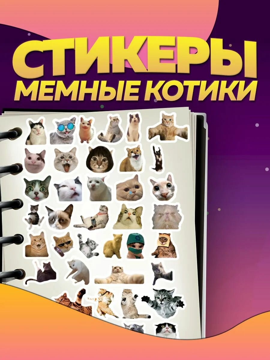 Набор наклеек Котики-мемы, 78 шт