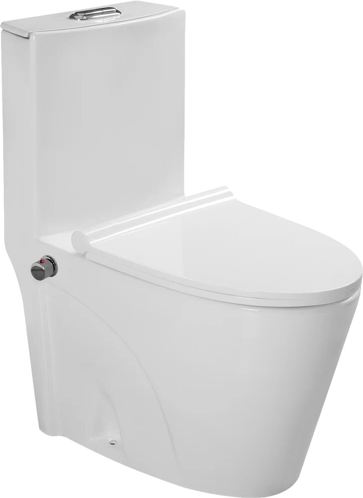 Унитаз-моноблок напольный SantiLine SL-5012SM-BD с микролифтом, антивсплеск, фаянсовый, с биде, белый, глянцевый, овальный, с нижним подводом, сиденье для унитаза в комплекте